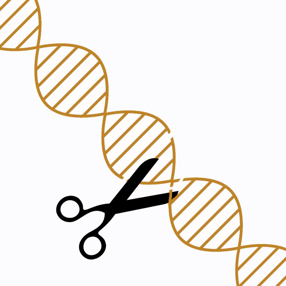 CRISPR, Genome Editing & The Future | Genetic Direction